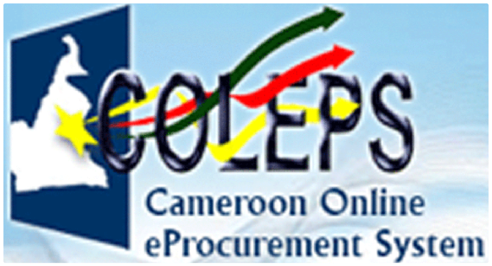 E-Gouvernance: le Cameroun dématérialise les procédures de passation et ...