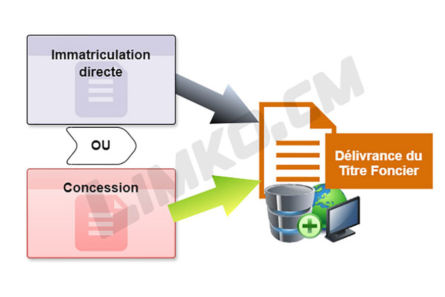 Obtenir son titre foncier au Cameroun : par la voie de concession ou par la voie de l ...